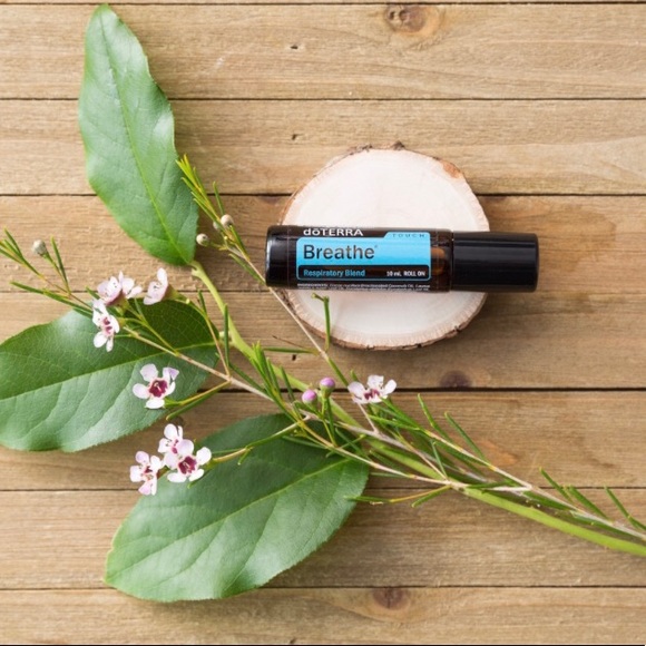 Doterra | Other | Doterra Breathe Touch Roller New | Poshmark